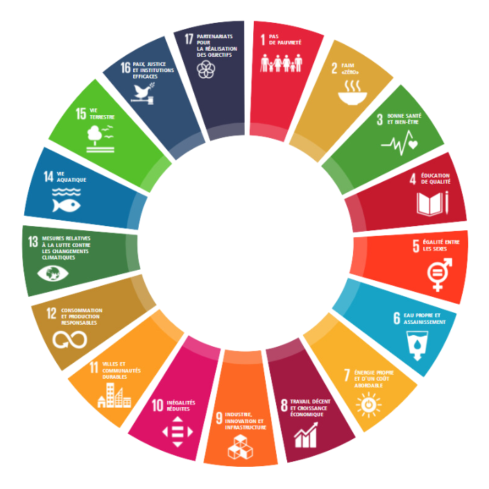 Guide pratique : rédiger un rapport RSE efficace